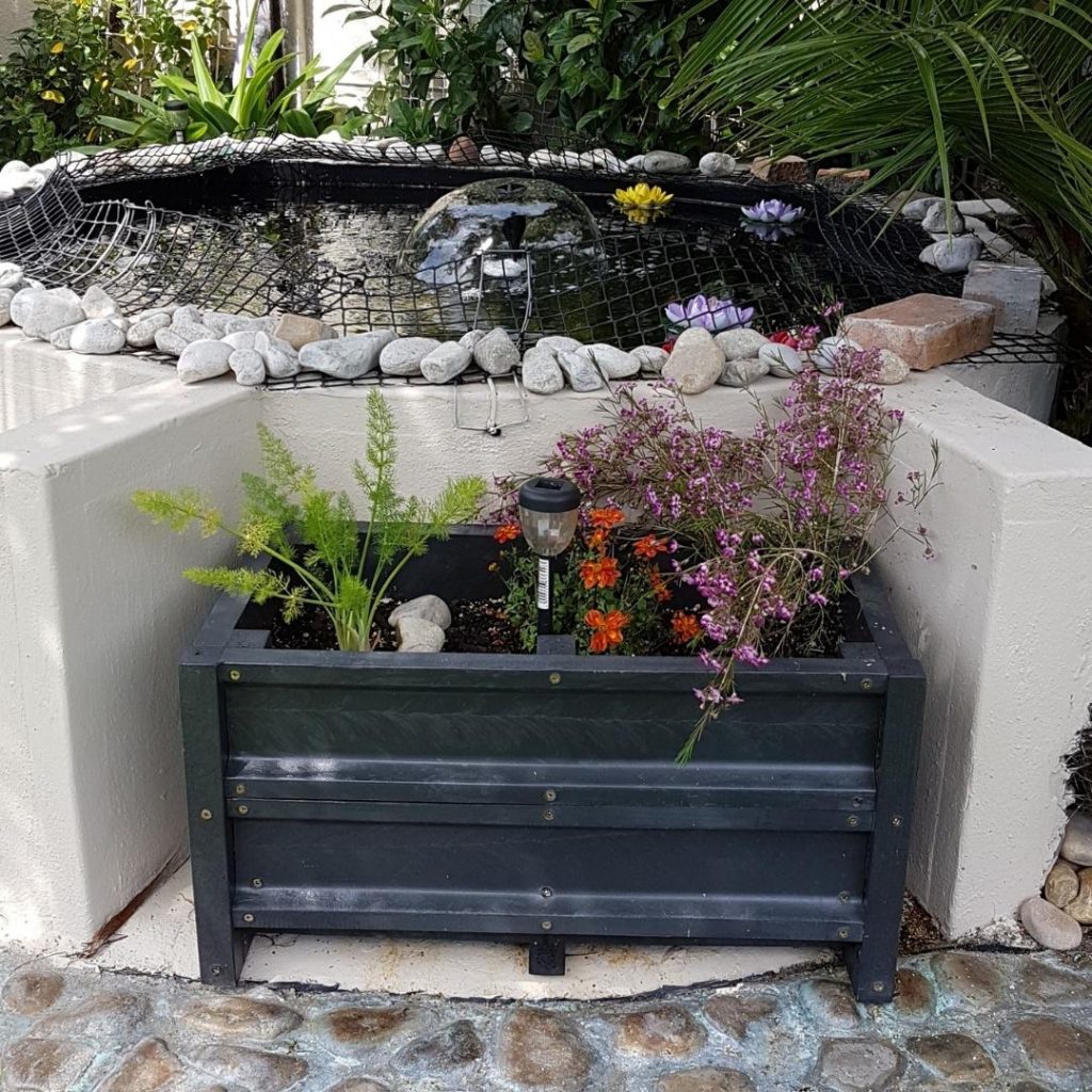 Plant Boxes – Evergreen Global Structures