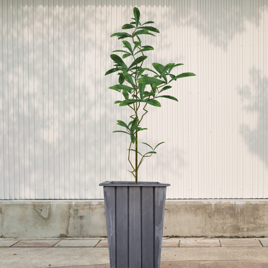 Tapered Tree Box – Evergreen Global Structures