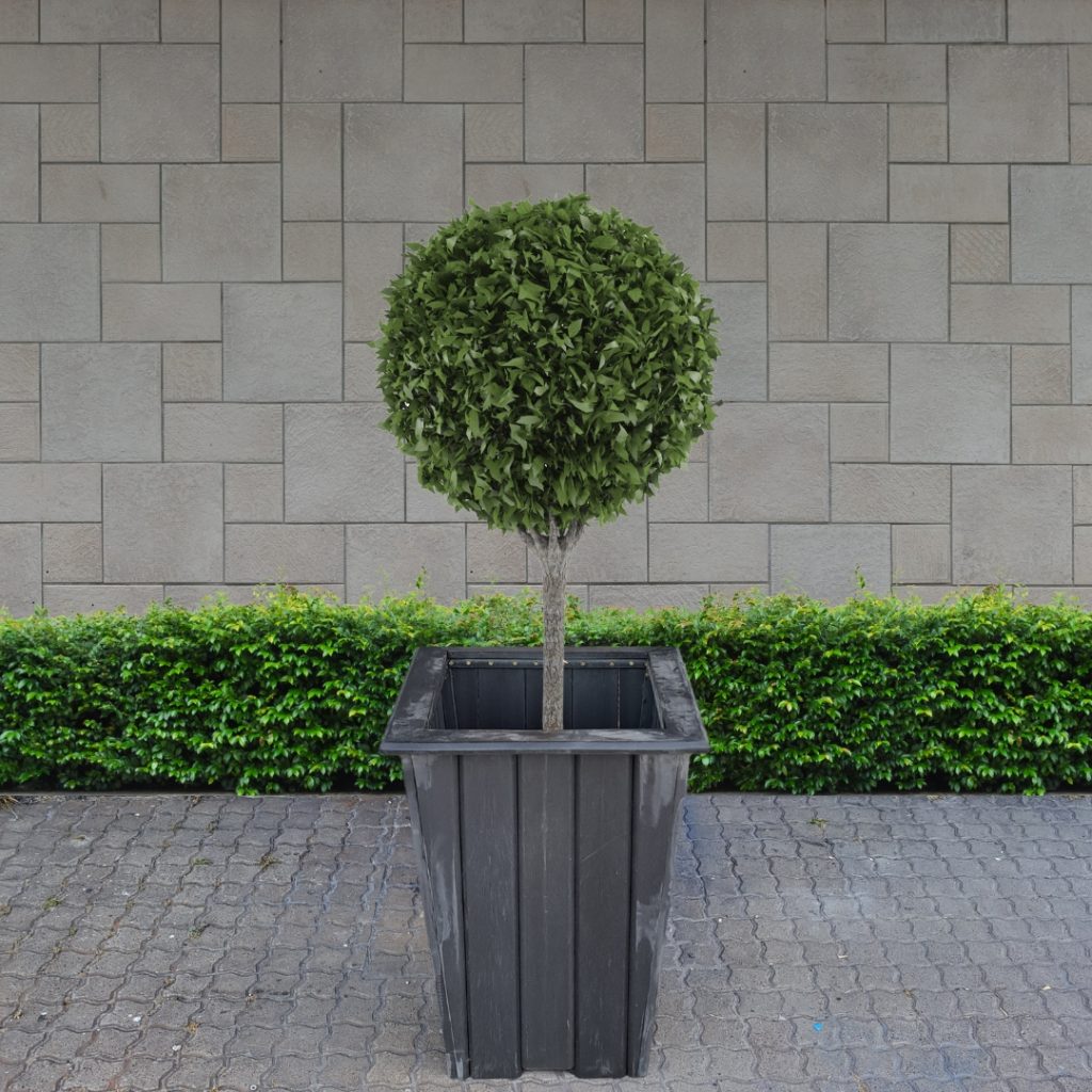 Tapered Tree Box – Evergreen Global Structures